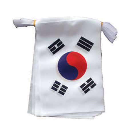 South Korea - Flag Bunting – The Flag Shop Ltd