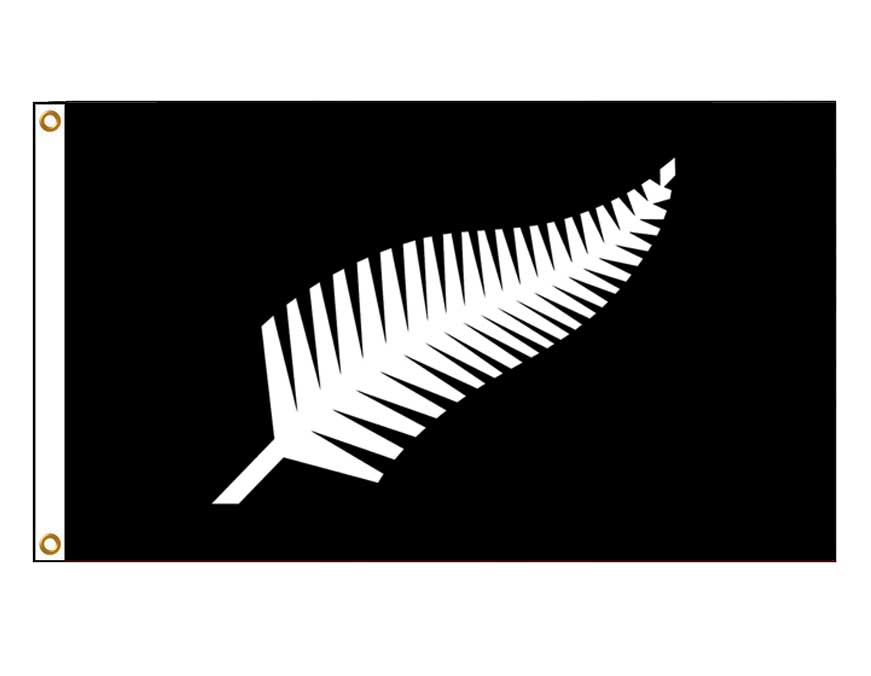 Silver Fern 2 - New Zealand – The Flag Shop Ltd